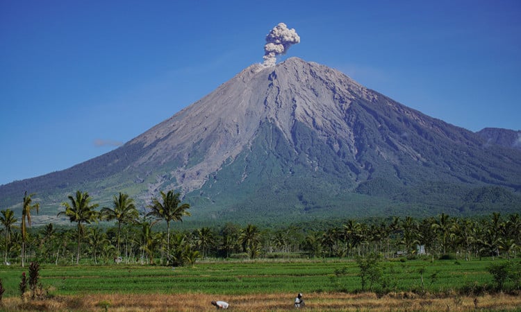Status Gunung Semeru Naik ke Level AWAS, Warga Diminta Menjauhi Besuk ...